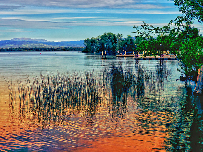 Clear Lake's shoreline at golden hour transforms ordinary reeds into nature's fiber optics, glowing with colors that would make a sunset jealous.