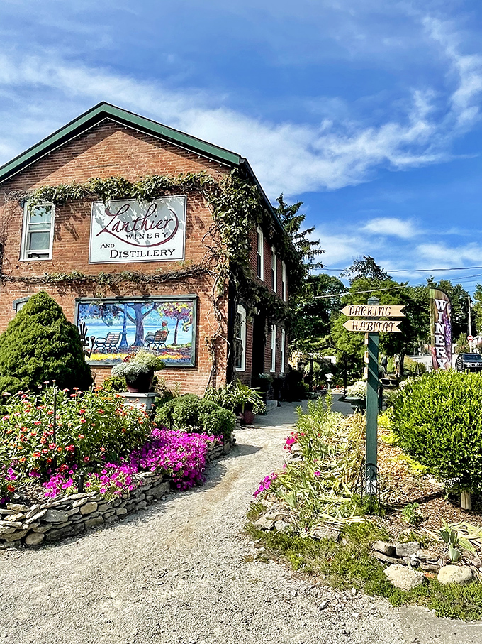 Lanthier Winery wraps itself in flowers and ivy like a gift waiting to be opened. Their garden path practically begs you to sip something local on their patio.