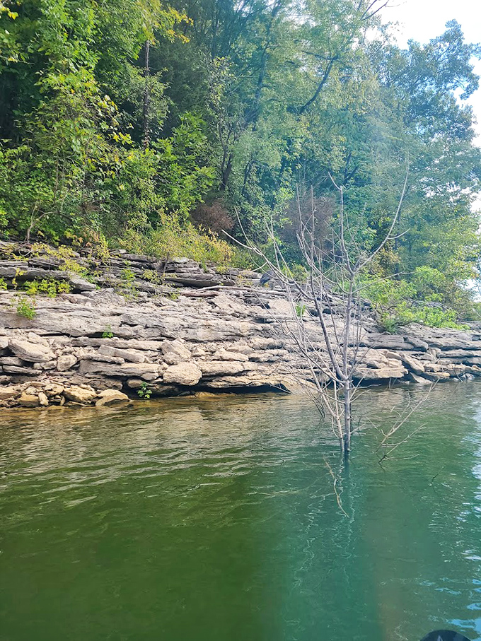 Limestone ledges tell geological stories spanning millions of years &ndash; nature's library where each rock layer is another fascinating chapter.
