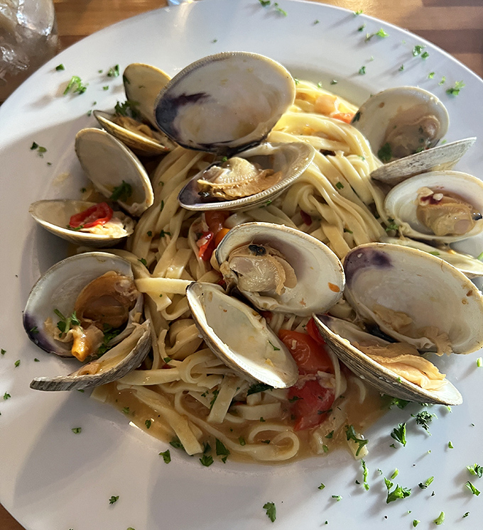 Linguine alle Vongole where the clams are clearly having their own little pasta party and you're the lucky guest of honor.