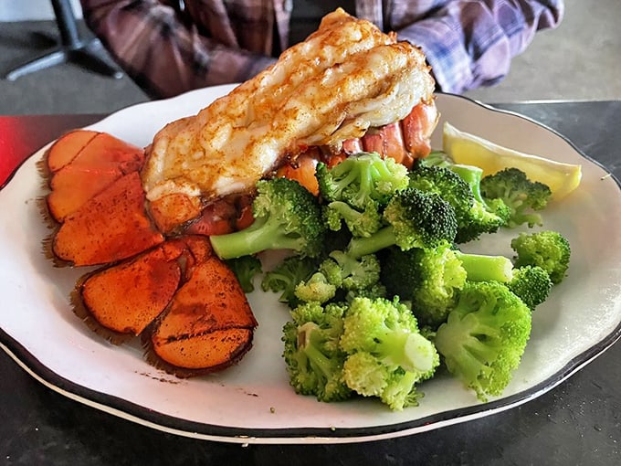 Not just seafood – a celebration on a plate. Bright orange lobster tail with vibrant vegetables creates a feast for the eyes before the first bite.