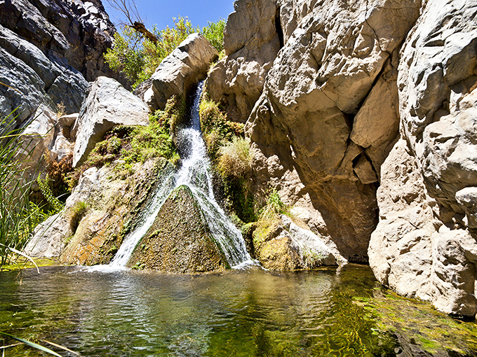 Darwin Falls splits perfectly down a V-shaped rock, as if the mountain decided to part its hair right down the middle.