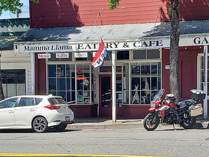 Mamma Llama Eatery combines quirky charm with serious food, where the motorcycle parked outside suggests even culinary adventurers find their way here.