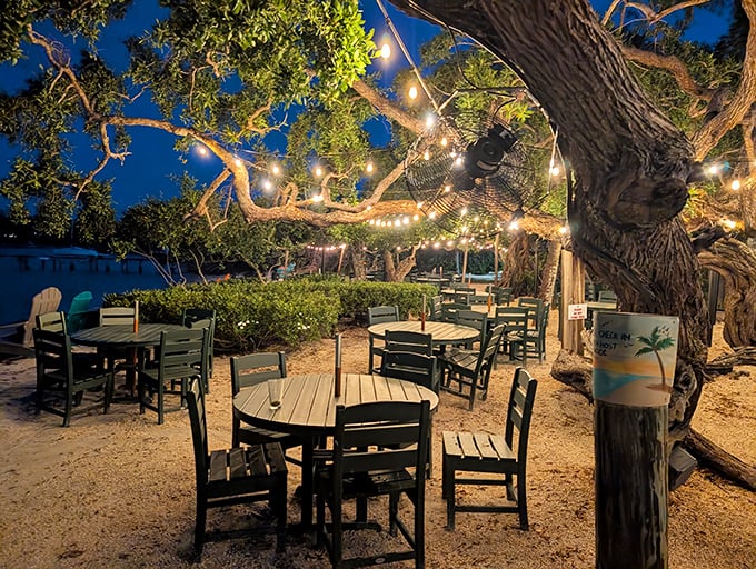 Dinner under the stars: Where ancient oaks draped with twinkling lights transform outdoor dining into a magical experience worth savoring.