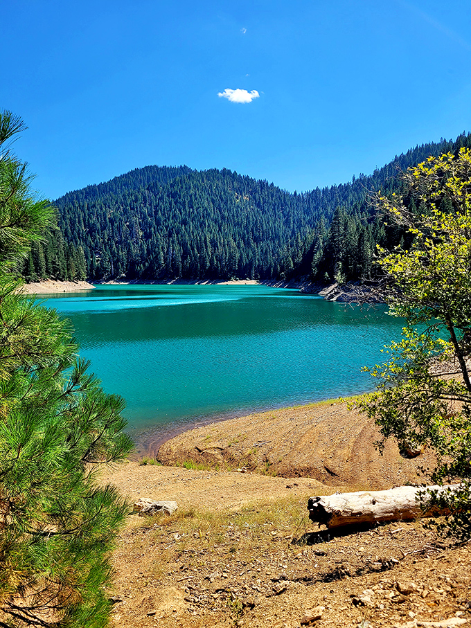 McCloud's turquoise lake waters look Photoshopped but are actually just showing off California's natural filtering system at work.