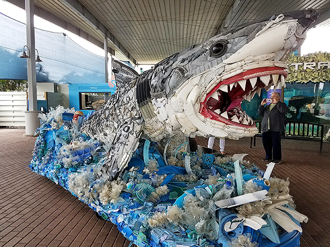 Mote Marine's recycled plastic shark sculpture delivers an environmental message with jaws&mdash;proving conservation can have serious bite.
