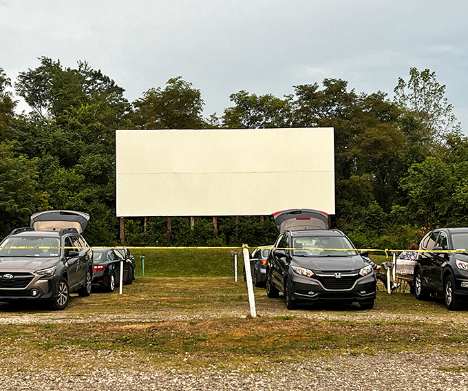 Cars lined up like eager audience members, headlights dimmed in anticipation of the show. Cinema democracy at its finest.