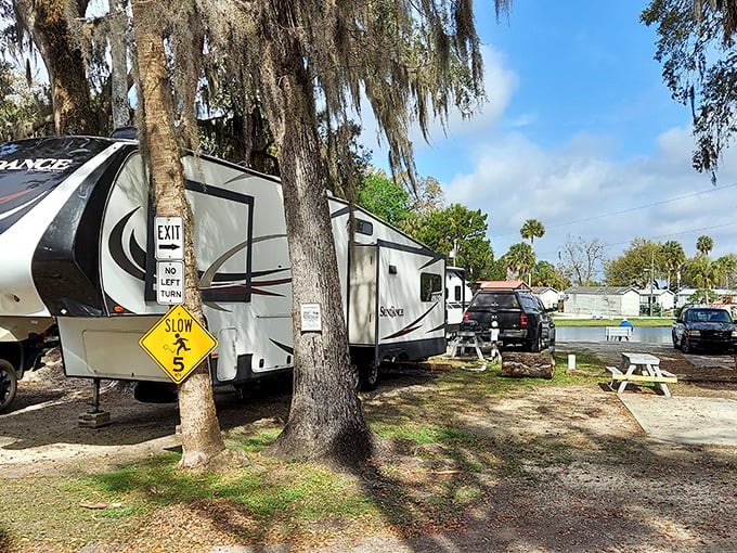 RV paradise where camping meets fresh seafood in Florida's most delicious outdoor adventure.