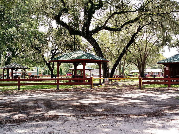 Nye Jordan Park's pavilions offer shade and serenity under Spanish moss. These picnic spots have hosted more family memories than most wedding venues.
