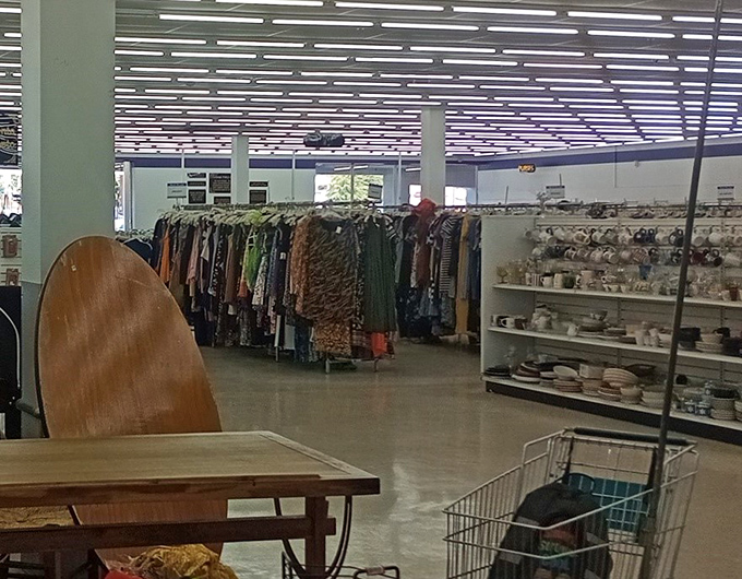 The housewares section: where someone's wedding registry rejects become your kitchen heroes. Those plates have seen some meals.