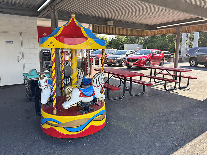 Where childhood dreams meet adult reality: a vintage carousel beside picnic tables, because ice cream tastes better with a side of whimsy.