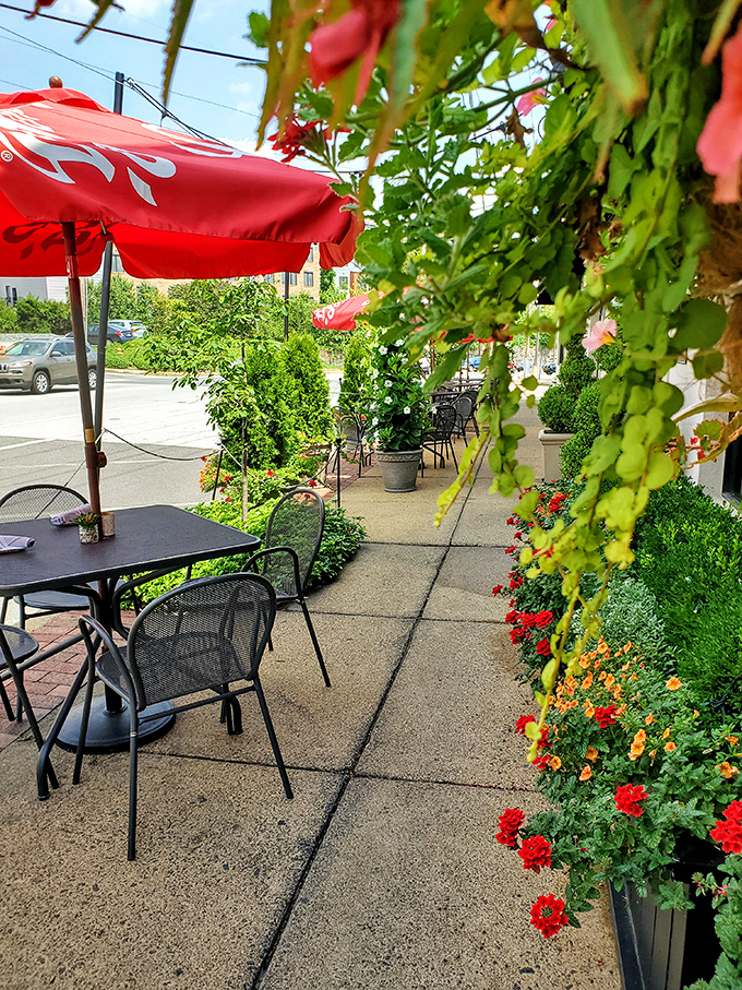 The patio doesn't just offer outdoor seating &ndash; it creates a garden sanctuary where umbrellas and flowers conspire to make you forget you're in the city.