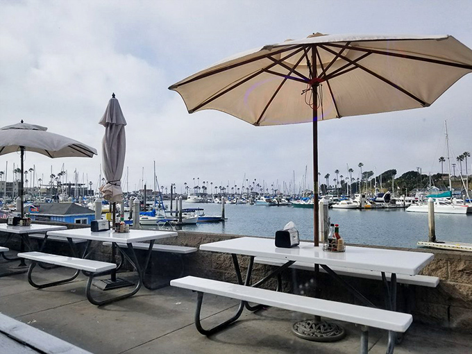 Outdoor seating with million-dollar marina views that don't add a penny to your bill. The perfect backdrop for seafood that tastes like vacation.