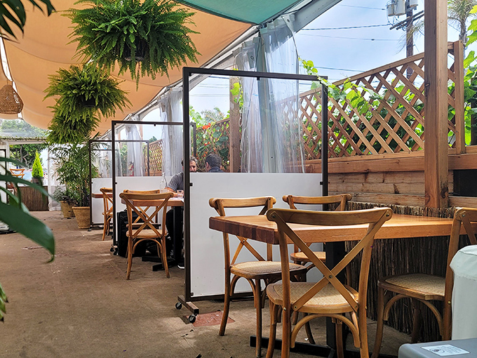 Pandemic-era outdoor dining done right. These transparent dividers and hanging plants transform necessity into an unexpectedly pleasant garden experience.