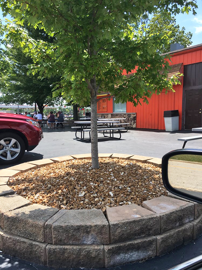 Those picnic tables have witnessed decades of first bites, brain freezes, and the sacred summer ritual of outdoor dining in Illinois.