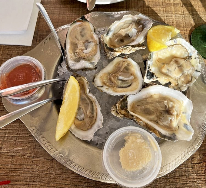 These oysters aren't just served &ndash; they're presented like the briny celebrities they are, ready for their close-up with lemon and cocktail sauce.