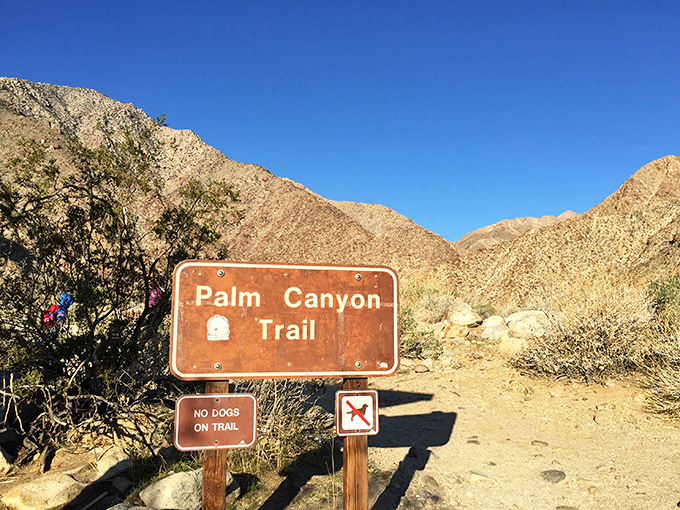 The trailhead to adventure. Palm Canyon's invitation to explore is more tempting than any "all you can eat" buffet sign.