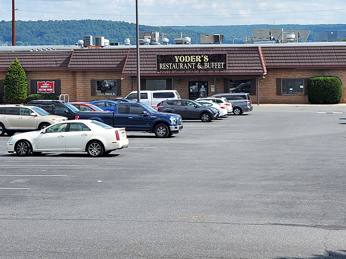 The packed parking lot tells you everything you need to know &ndash; when locals fill a restaurant this consistently, you've found the real deal.