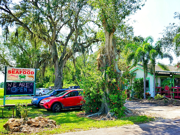 Morning sunshine illuminates the classic Florida landscape&mdash;Spanish moss-draped oaks frame this seafood sanctuary like a living postcard.