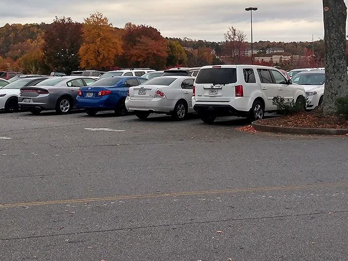Fall foliage provides a scenic backdrop to the parking lot &ndash; nature's way of distracting you from how far you parked.