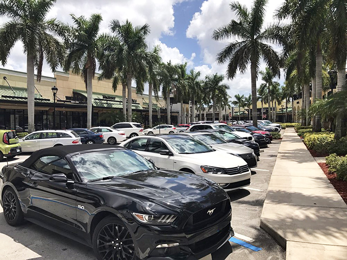 Parking lot palm trees standing guard over vehicles that will soon be stuffed with shopping bags and happy exhaustion.
