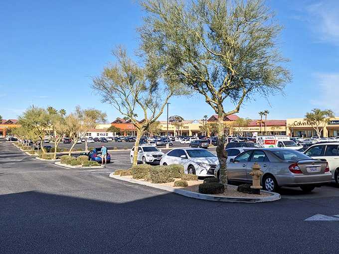 Desert-adapted trees stand guard over rows of cars, their license plates telling stories of road trips, shopping pilgrimages, and Vegas-bound adventures.