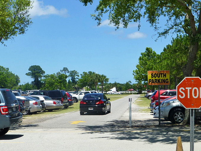 South parking stretches under Florida's famous blue skies, where early birds get both the worm and the prime spots near the entrance.