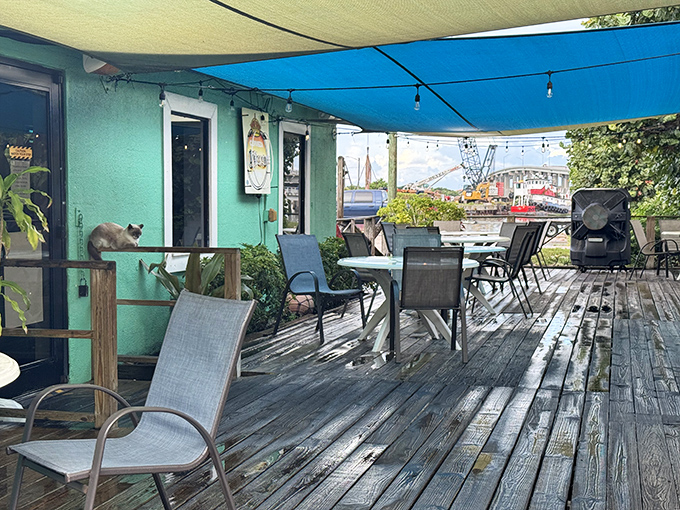 The weathered deck offers al fresco dining with a side of sea breeze &ndash; and occasionally a neighborhood cat supervisor.