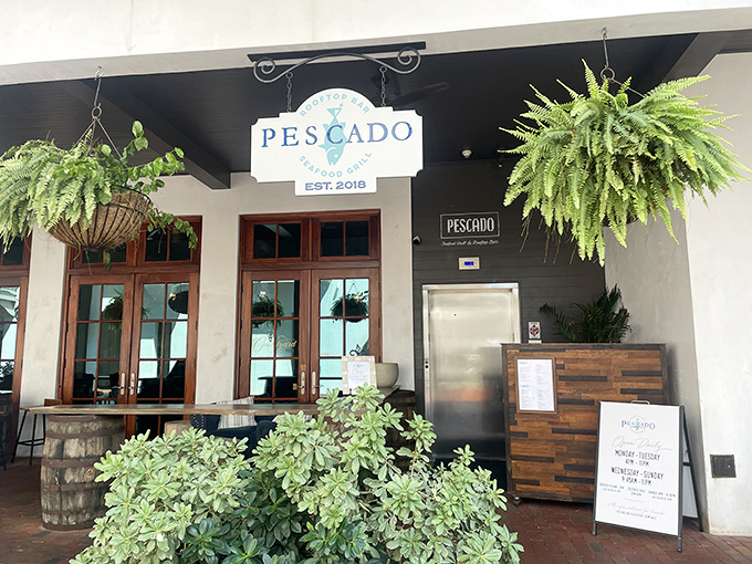 Pescado's hanging ferns create a verdant welcome to seafood paradise. Where rooftop dining meets Gulf breezes for the perfect Florida evening.
