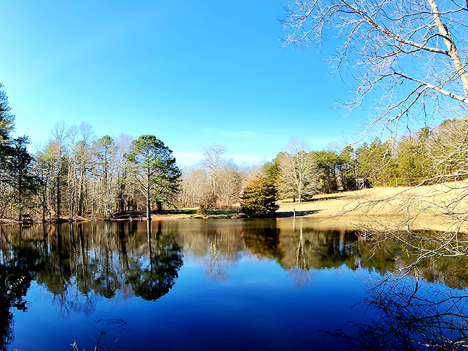 Mirror, mirror on the pond &ndash; the still waters create perfect reflections of the surrounding forest in this peaceful corner of the park.