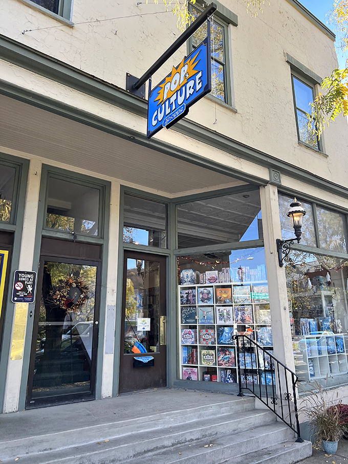 Pop's Culture Shoppe brings nostalgic joy to collectors young and old. This isn't just retail therapy&mdash;it's a museum where you can take the exhibits home.