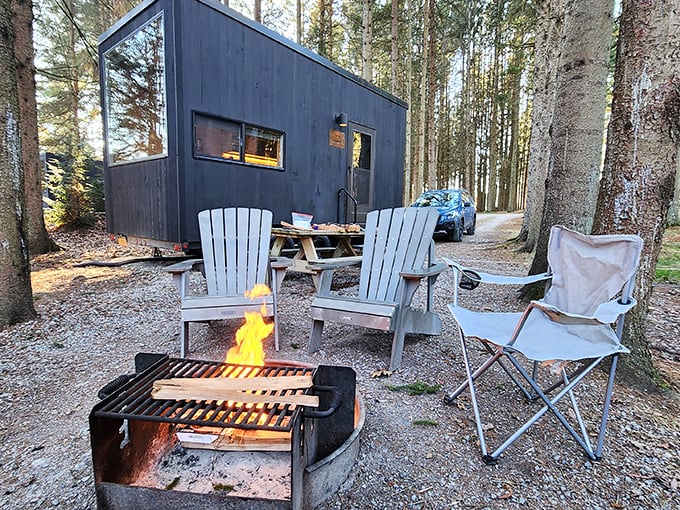These woodland cabins offer nature with just enough civilization to keep it comfortable. S'mores taste better when there's a real bed waiting nearby.