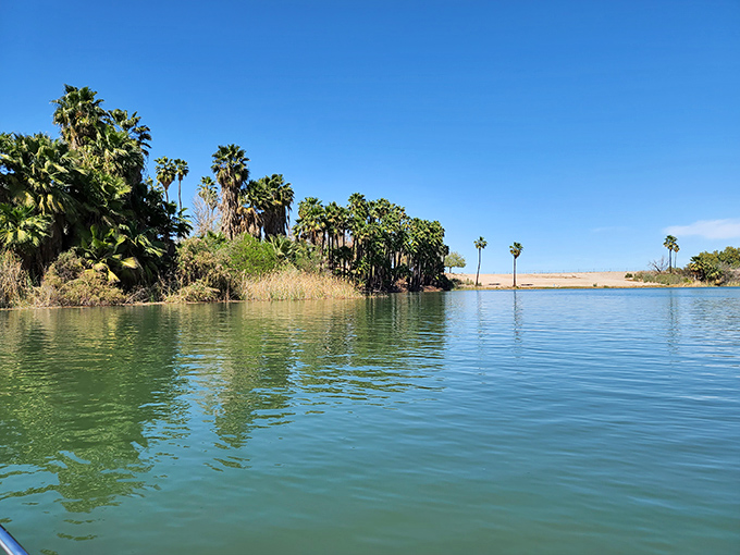 Palms reflect in the tranquil waters near Blythe, creating postcard-worthy scenes that belie the affordable cost of living in this riverside community.