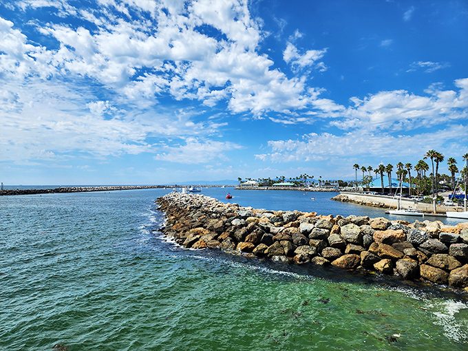 Rock jetties create nature's boundary between harbor calm and ocean wild&mdash;engineering that doubles as pelican perches.