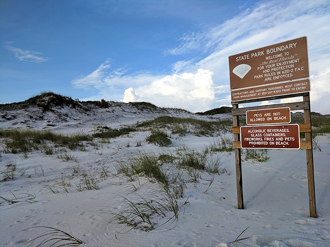 The sign says "State Park Boundary," but what it really means is "You're about to enter paradise. Rules apply, but so does magic."