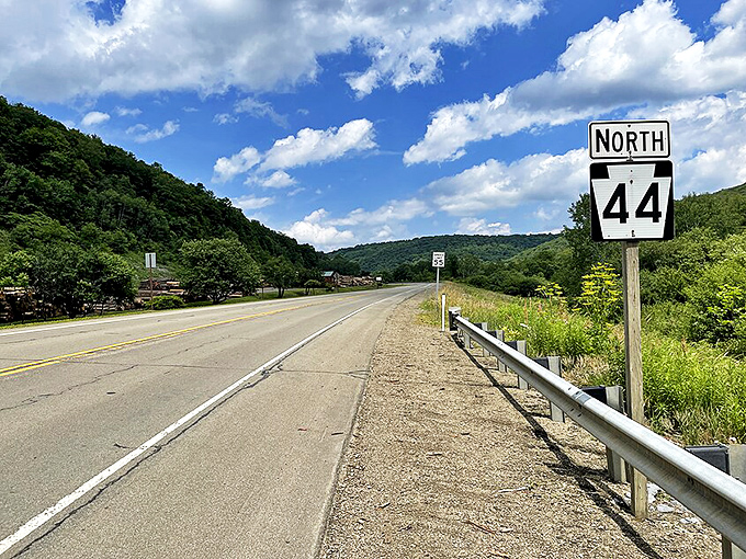 Route 44 cutting through rolling hills, a perfect ribbon of asphalt. The kind of road car commercials dream about.