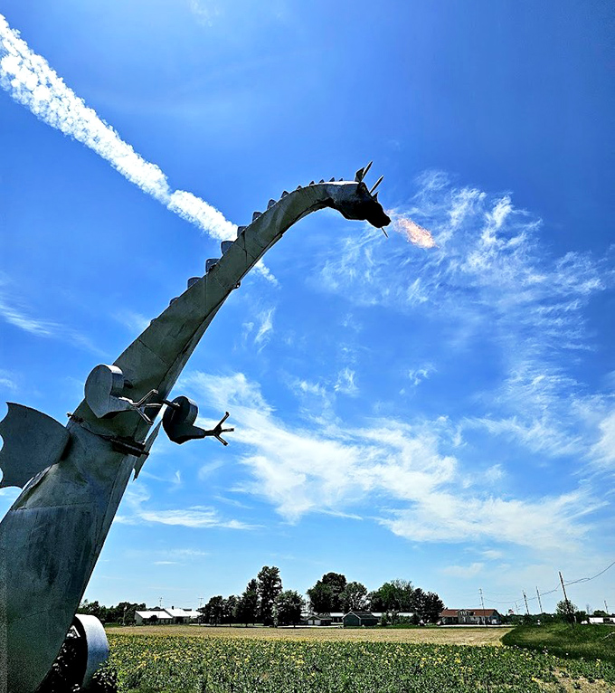 A spectacular mid-roar moment captures the dragon in full flame-throwing glory against a perfect blue Illinois sky.