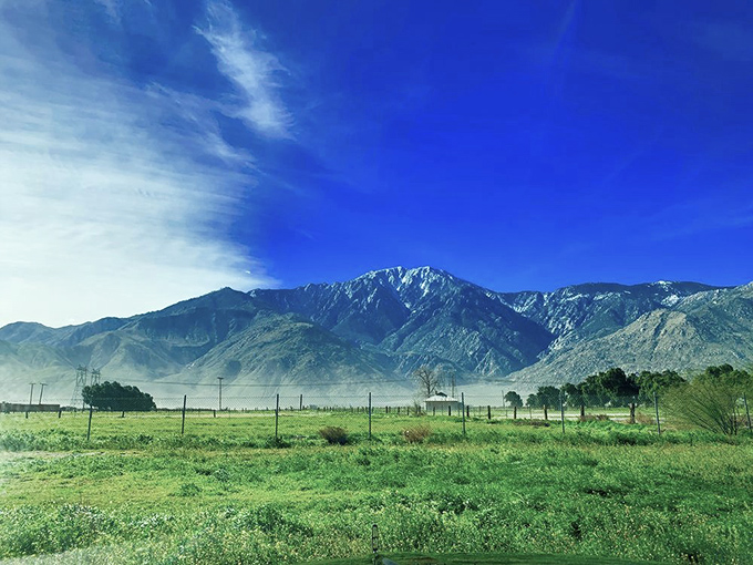 Mountains that look painted onto the sky. San Jacinto stands sentinel over the valley, a geological masterpiece that makes skyscrapers seem quaint.