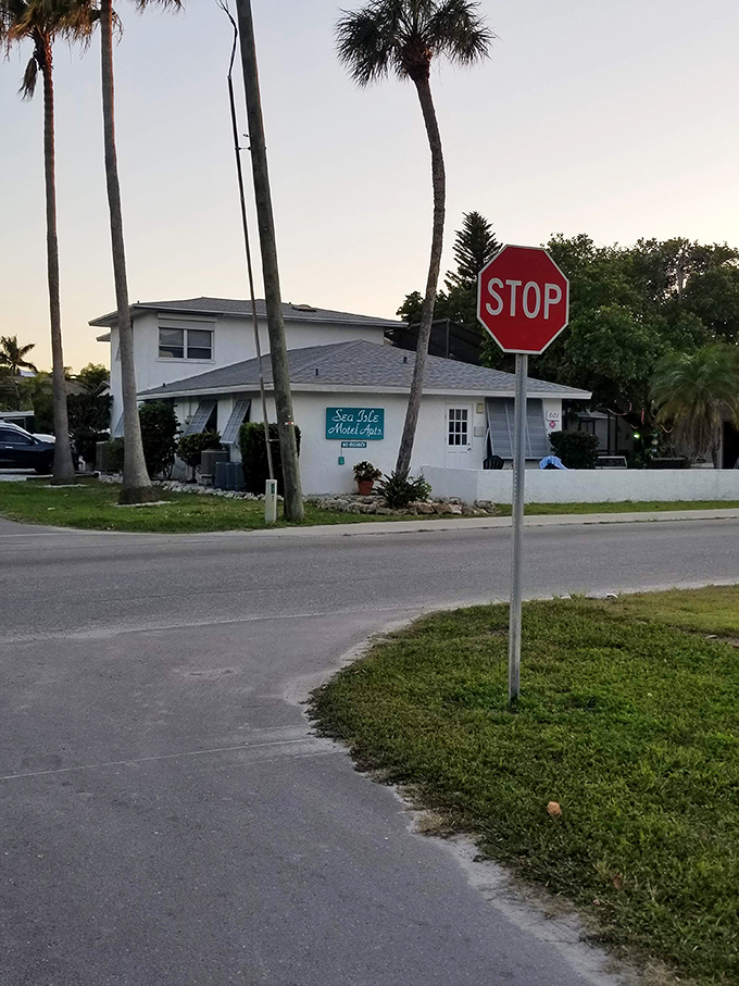 The historic Anna Maria City Pier stands as a wooden runway into azure waters. Time slows down with every step toward the horizon.