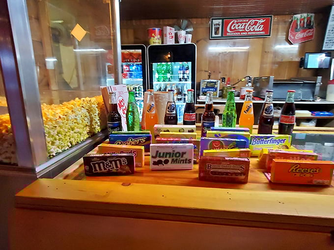 Concession stand nirvana&mdash;where Junior Mints and Butterfingers meet fresh popcorn in a display case of perfectly acceptable dinner substitutes.