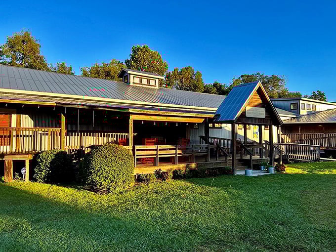 Rustic wooden architecture with generous porches creates the perfect setting for preserving Havana's tobacco heritage and sharing its stories.