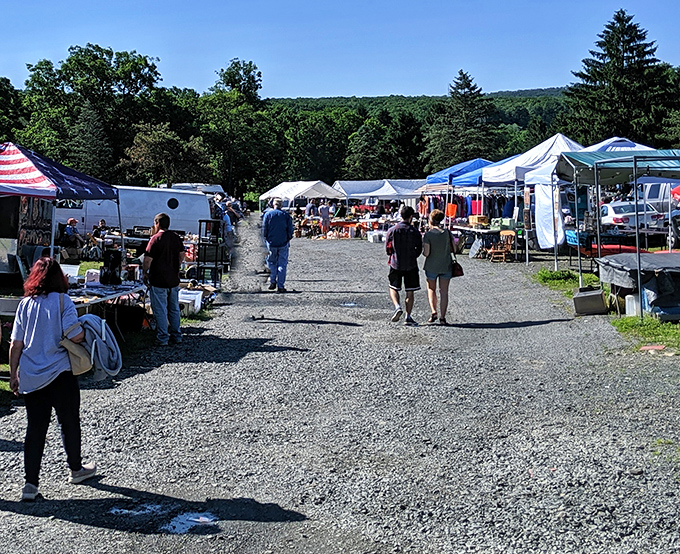 Weekend warriors navigate the treasure maze, armed with determination and dreams of incredible bargain discoveries.