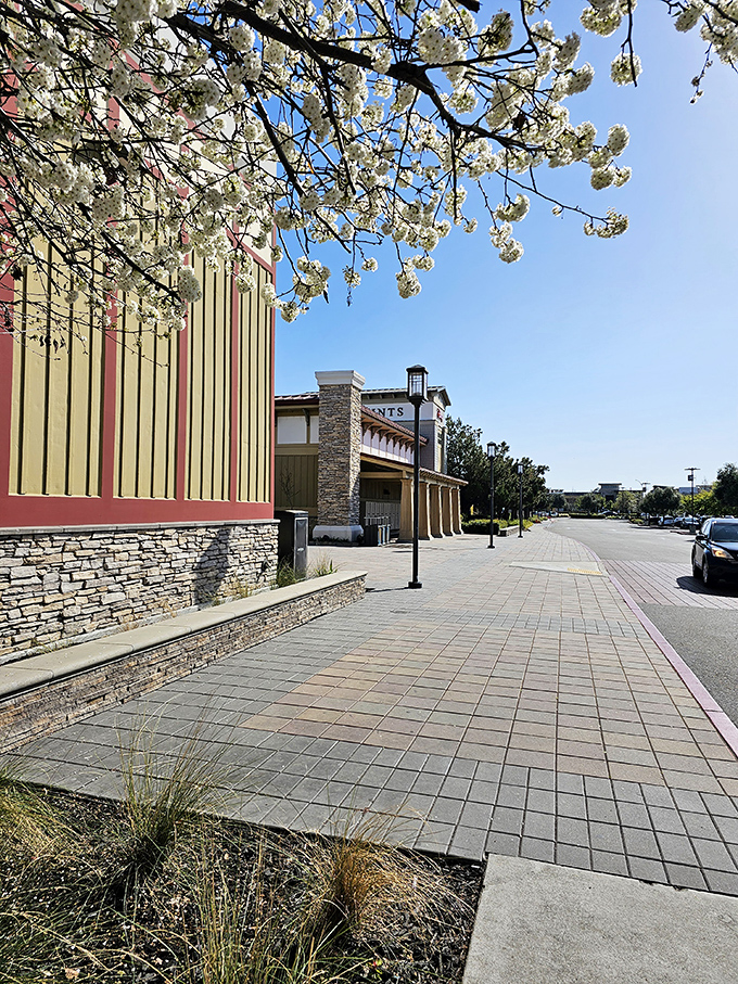 Spring blossoms frame the walkways, adding natural beauty to manufactured retail bliss. Even Mother Nature seems to approve of these shopping adventures.