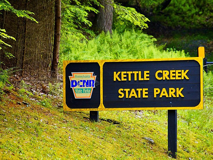 The official welcome sign: your passport to adventure awaits. Those yellow letters promise memories more valuable than any souvenir. 