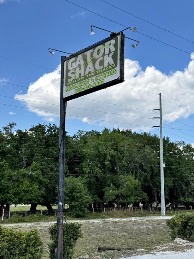 The Gator Shack sign stands as a beacon for hungry travelers, promising authentic Florida flavors that no chain restaurant could ever replicate.