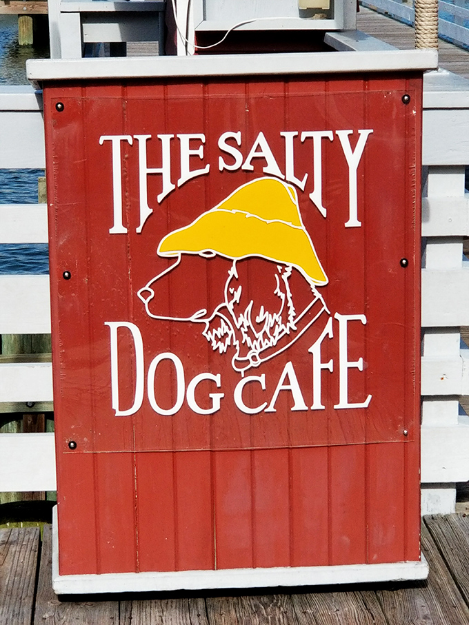 That famous yellow-hatted pup isn't just a logo &ndash; he's the maritime mascot who's silently judging your seafood ordering skills.