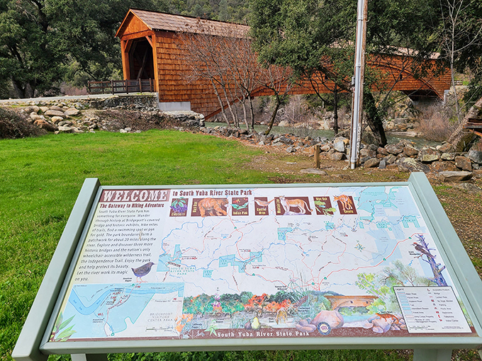 The welcome sign offers a roadmap to adventure, with the star attraction standing proudly in the background like a wooden celebrity.