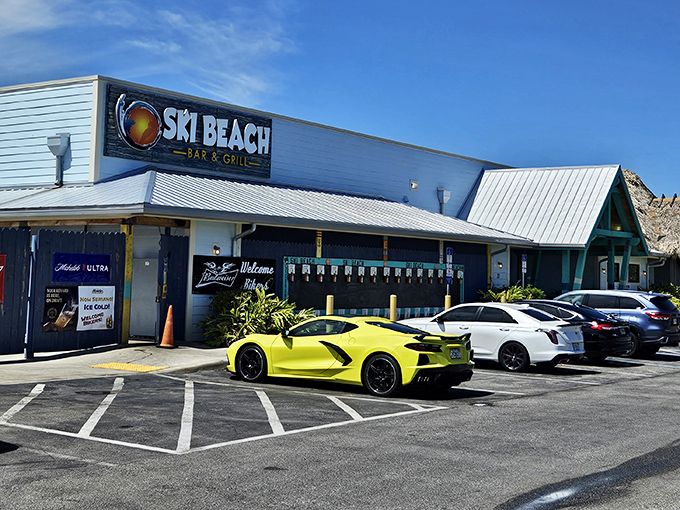 Ski Beach Bar & Grill embodies Florida's laid-back waterfront dining culture, where yellow Corvettes park alongside family sedans and everyone's welcome.