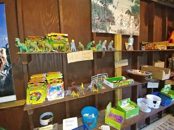 The gift shop's interior reveals shelves of affordable dinosaur toys and souvenirs, perfect for extending the prehistoric experience beyond the park visit.