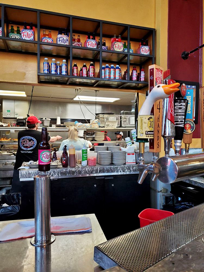 Behind the counter, bottles of Fitz's famous sodas line the shelves—liquid trophies showcasing the rainbow of flavors crafted on-site.